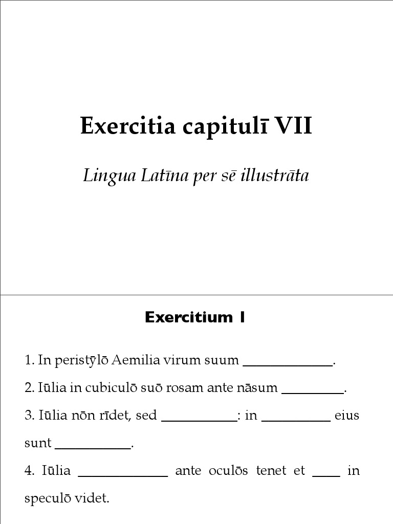 Exercitia Cap VII LLPSI | PDF