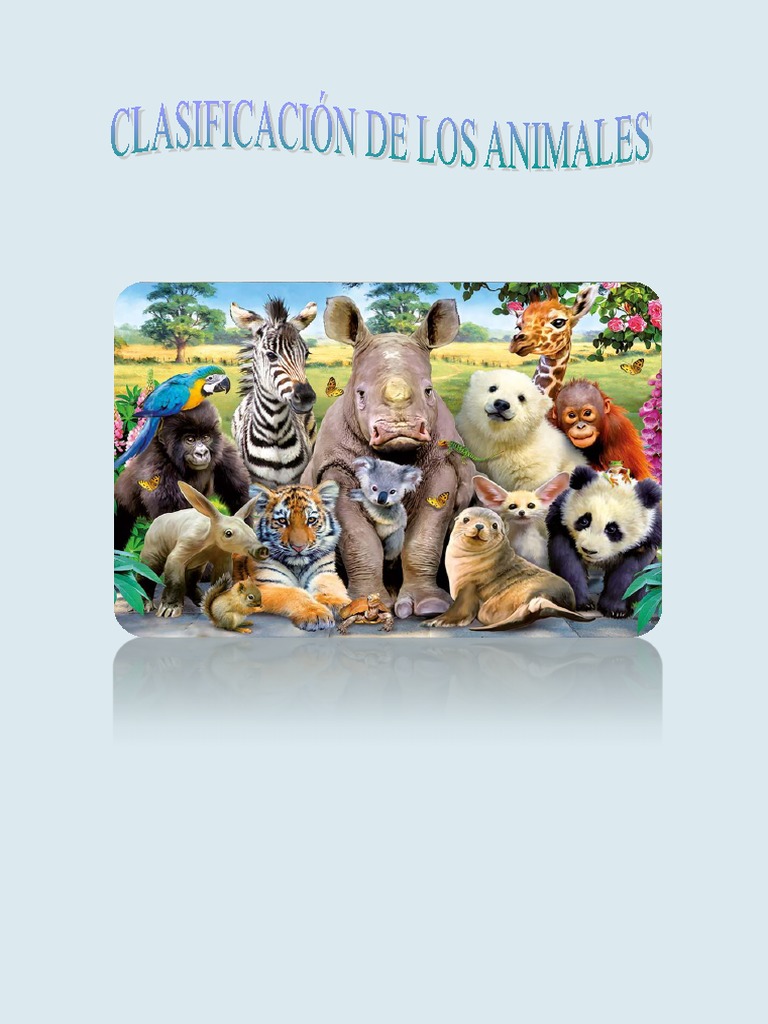 Clasificación de Los Animales 4 Primaria | PDF | Esponja | Huevo