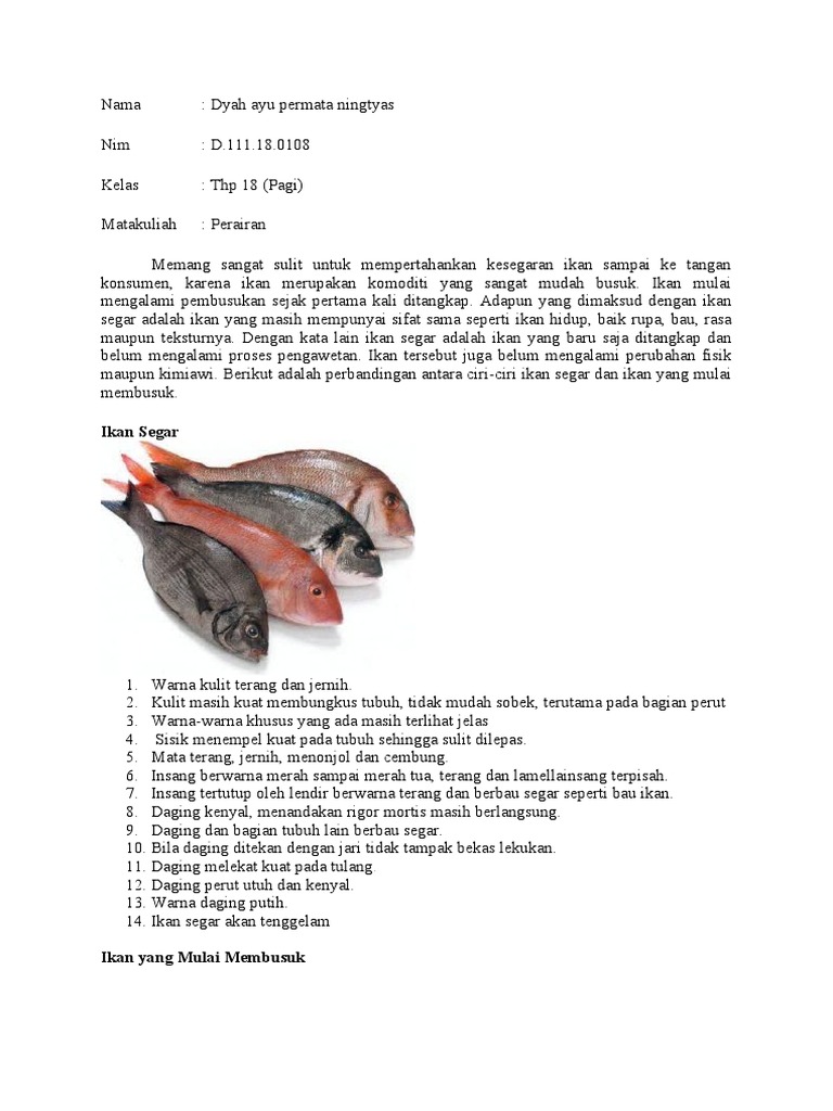 Ciri dan Olahan Ikan Segar vs Busuk | PDF
