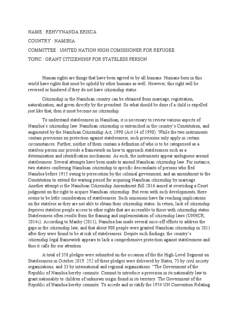 Position Paper Ayimun 2020 | PDF | United Nations High Commissioner For ...