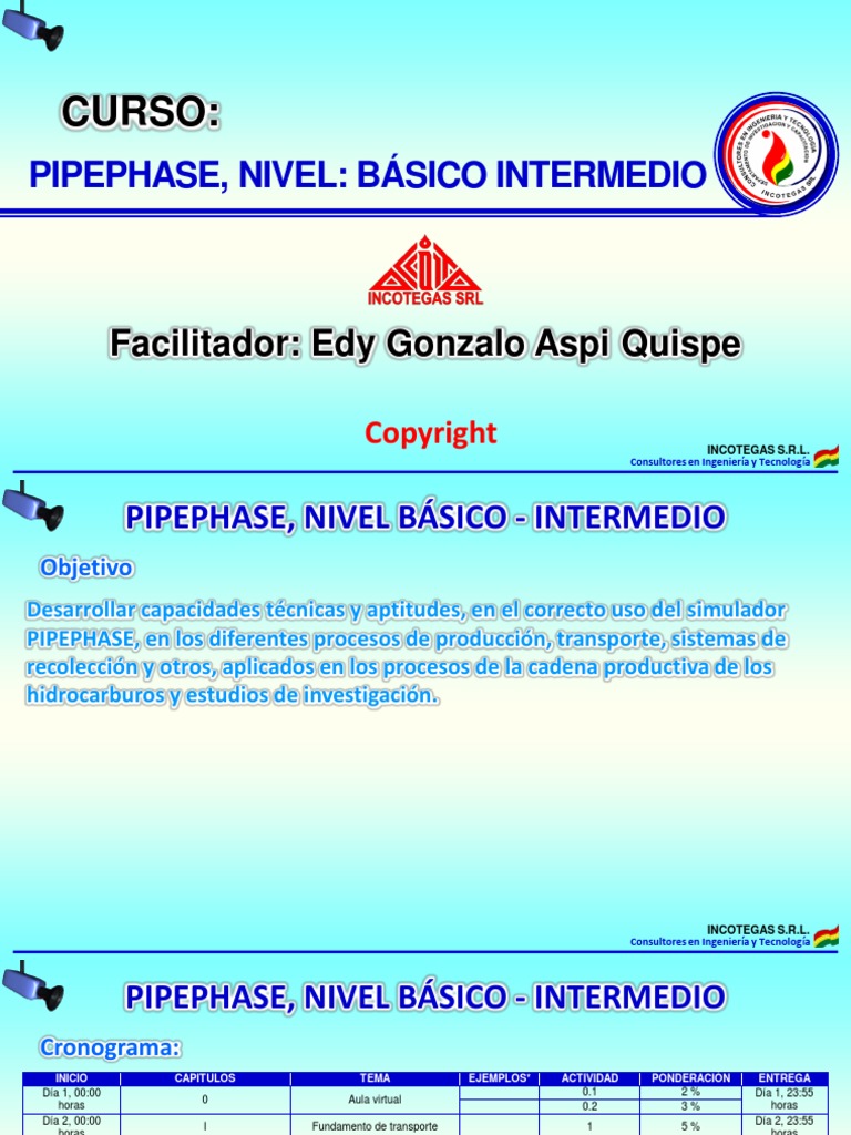 Presentacion de PIPEPHASE BI v1 | PDF | Tubería (transporte de fluidos) | Simulación