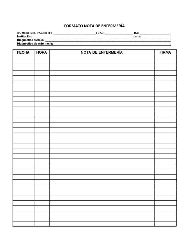 Formato de Nota de Enfermería | PDF