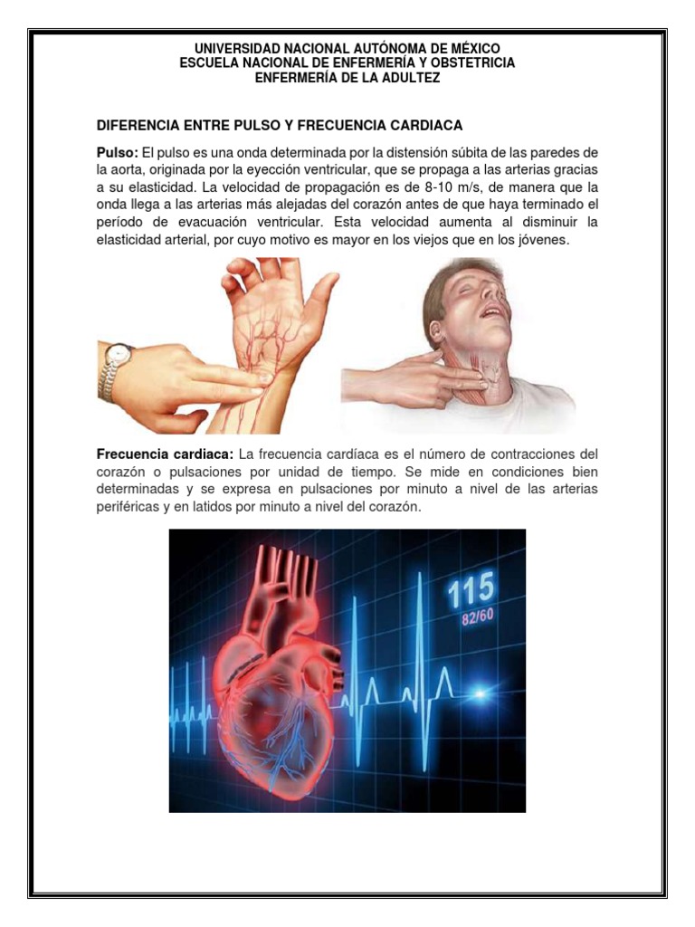 Diferencia Entre Pulso y Frecuencia Cardiaca | PDF