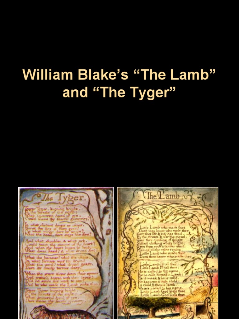 The Lamb Vs The Tyger | Download Free PDF | Religious Belief And Doctrine