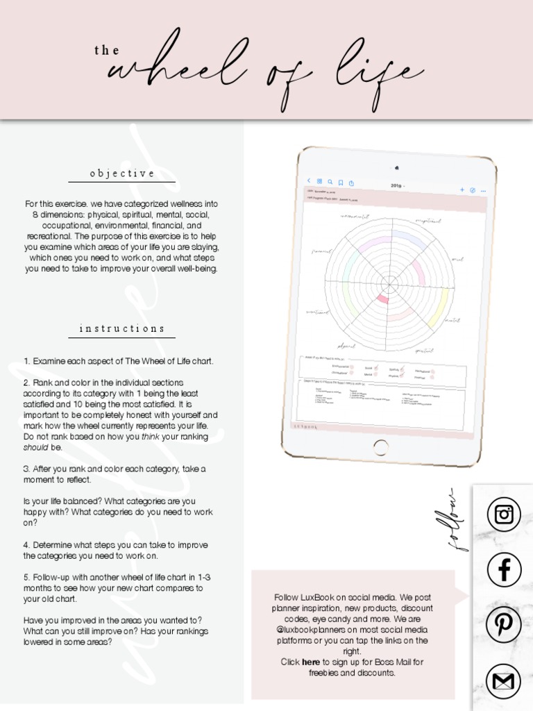 The Wheel of Life Insert | PDF | Well Being | Psychology