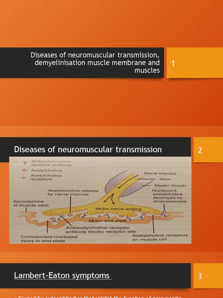 Disorders of Neuromuscular Transmission | PDF | Neuromuscular Junction ...