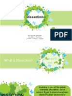 Gummy Bear Dissection Guide | PDF