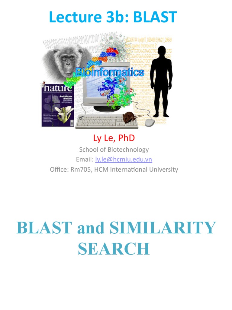 04B. Bioinformatics-Lecture 4 (Alternative) - Blast | PDF | Sequence Alignment | Biostatistics