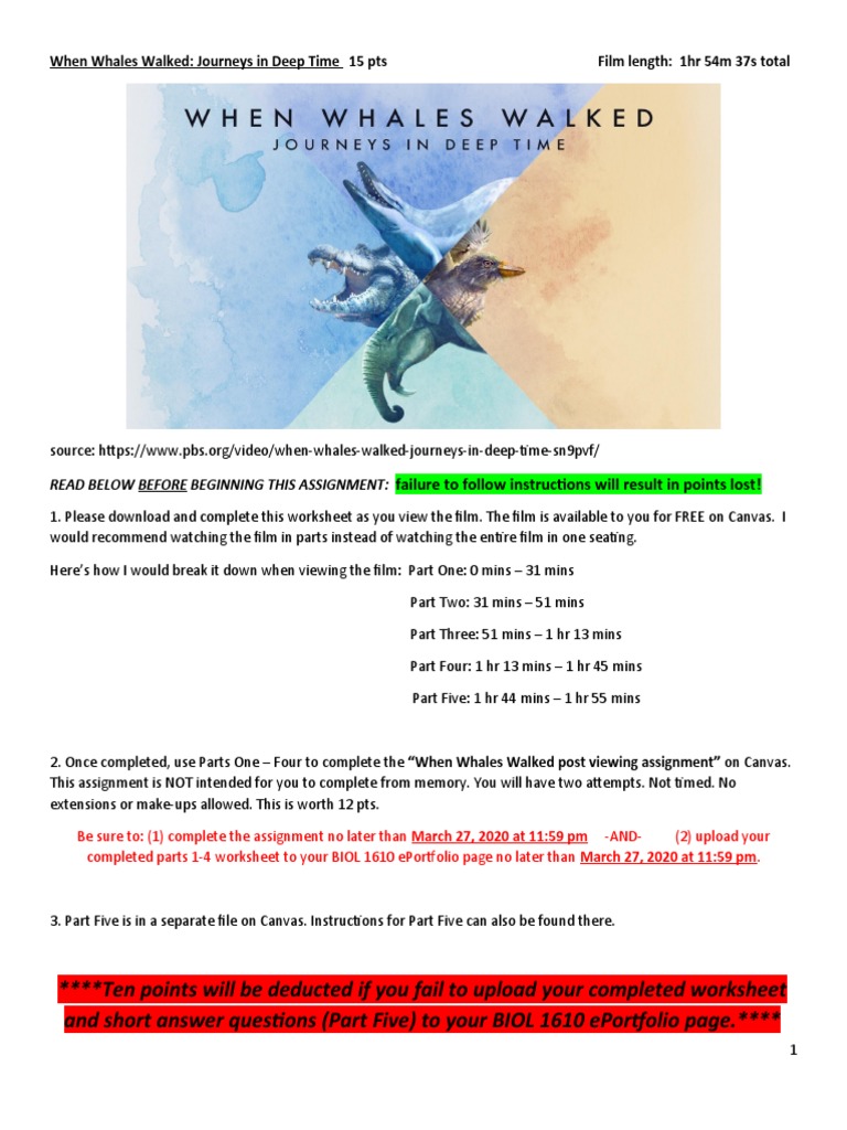 When Whales Walked - Journeys in Deep Time | PDF | Cetacea | Dinosaurs