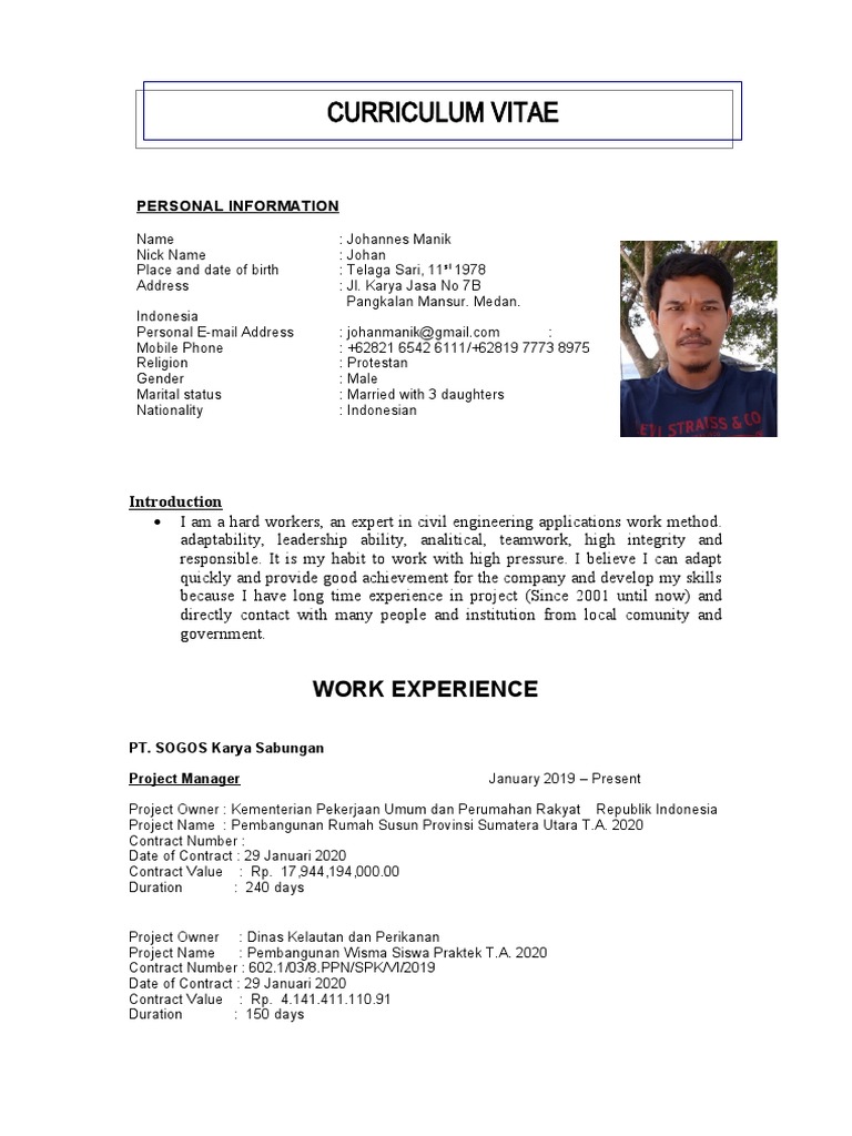Curriculum-Vitae Johan | PDF | Engineering | Economic Sectors