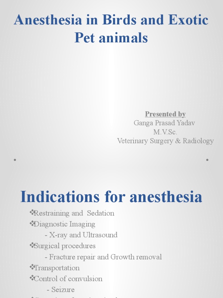 Anesthesia in Birds and Exotic Pet Animals: Ganga Prasad Yadav M.V.Sc ...