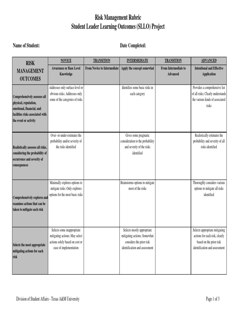 Risk Management Rubric Student Leader Learning Outcomes (SLLO) Project ...