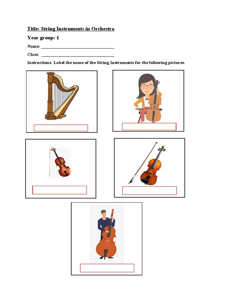 String Instruments in Orchestra Guide | PDF | Teaching Methods & Materials