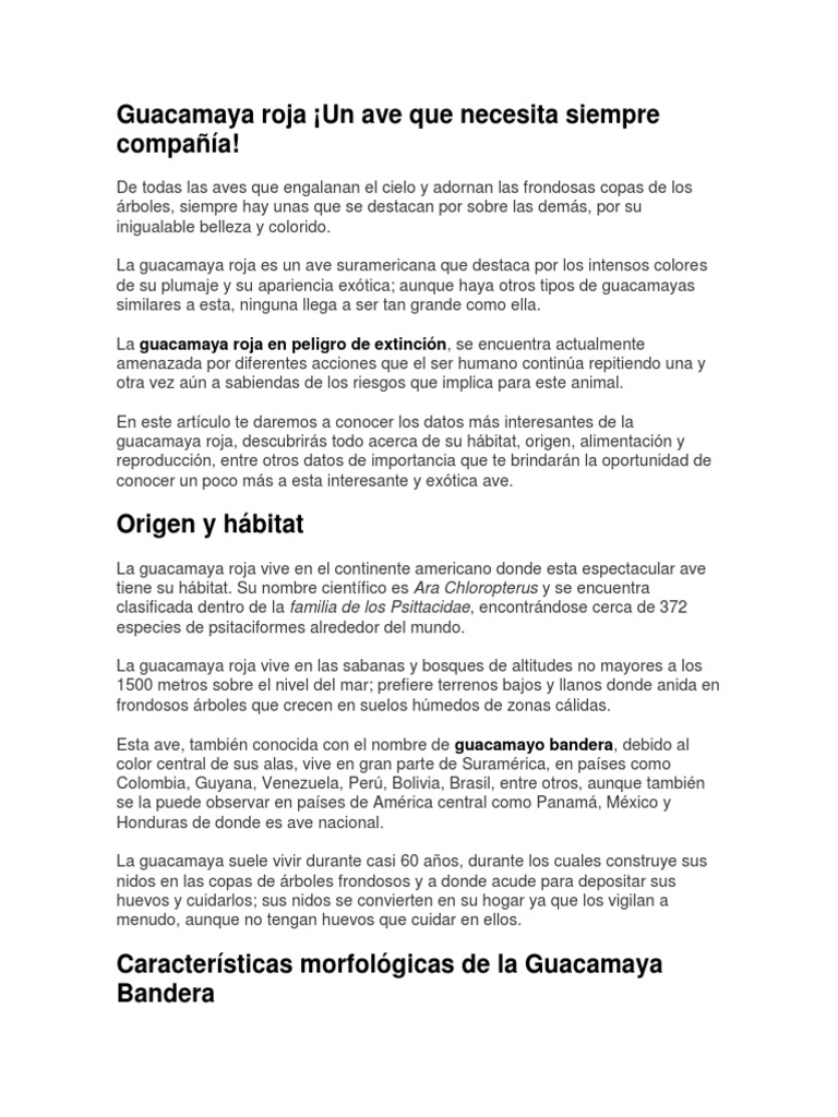 Guacamaya Roja: Hábitat y Características | PDF | Aves | Dinosaurios