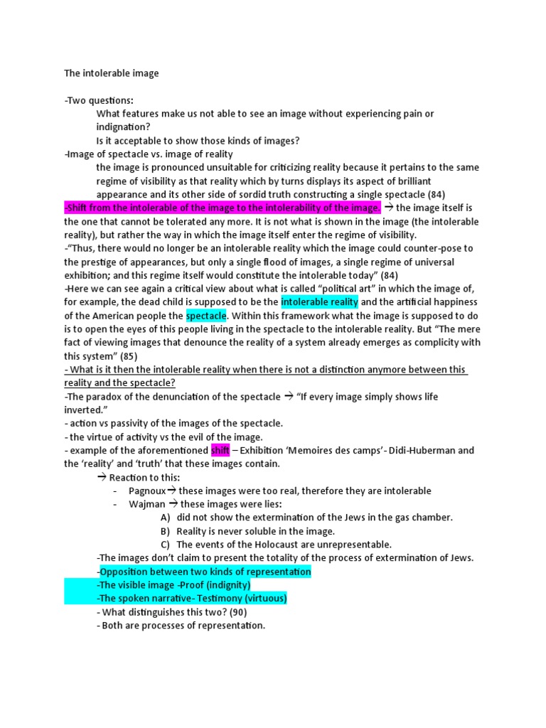 The Intolerable Image-Outline | PDF | Testimony | Reality