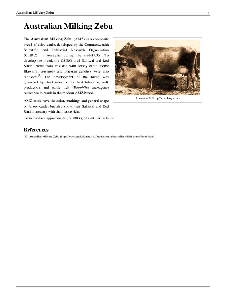 Australian Milking Zebu Overview | PDF