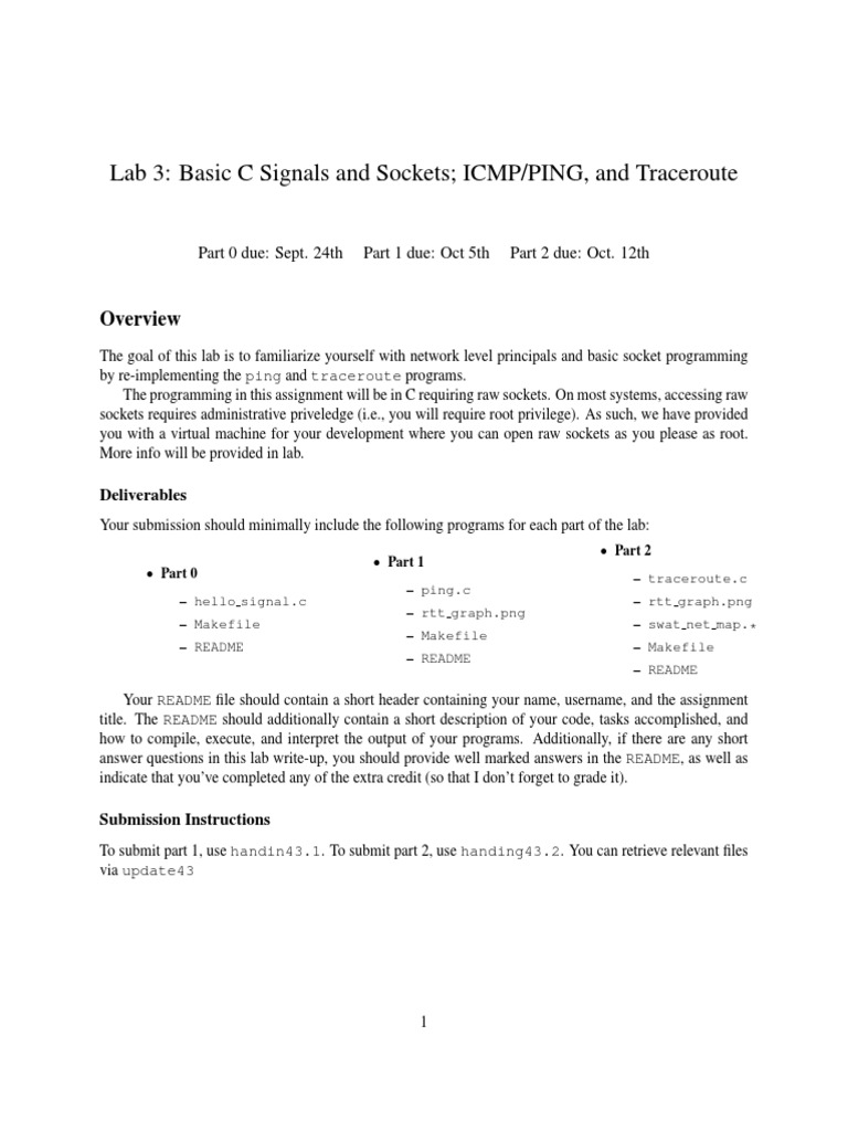 Network Programming Fundamentals: Implementing Ping and Traceroute in C ...