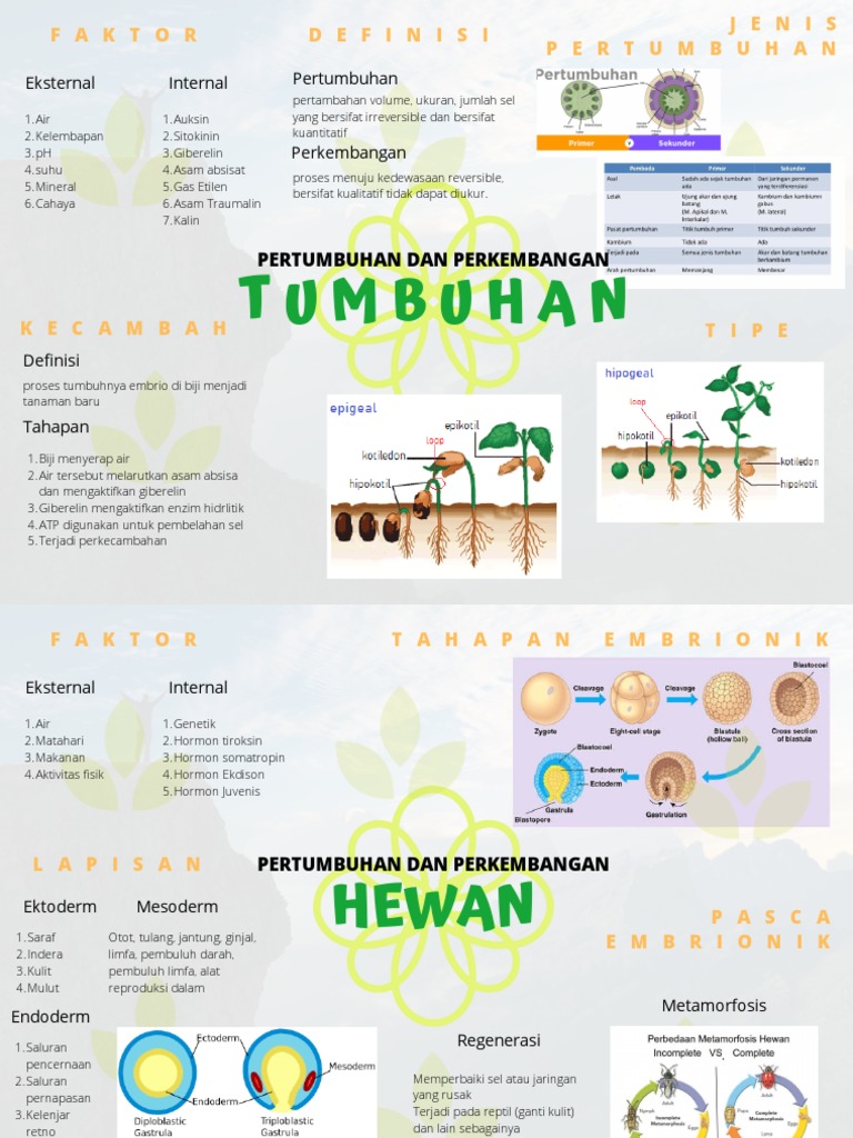 Mind Map Biologi Kelas 12 | PDF