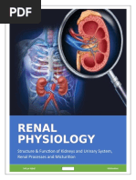 Urology Medical Terminology | PDF | Urinary System | Kidney