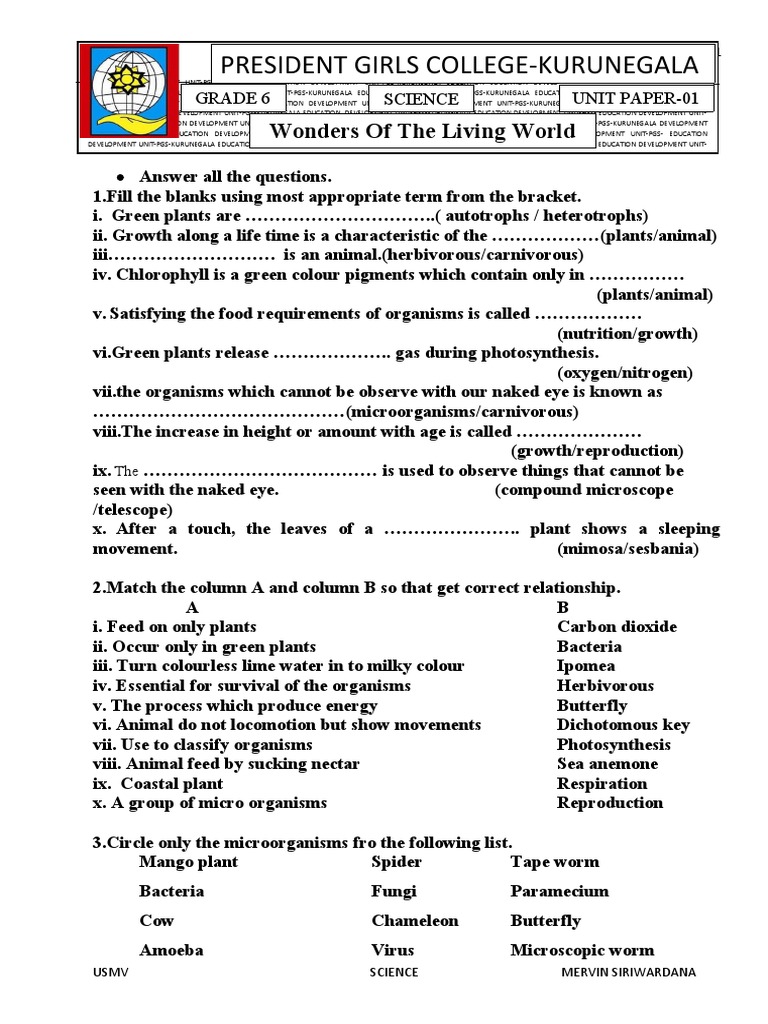 Science Papers - Grade 6 | PDF | Plants | Microorganism