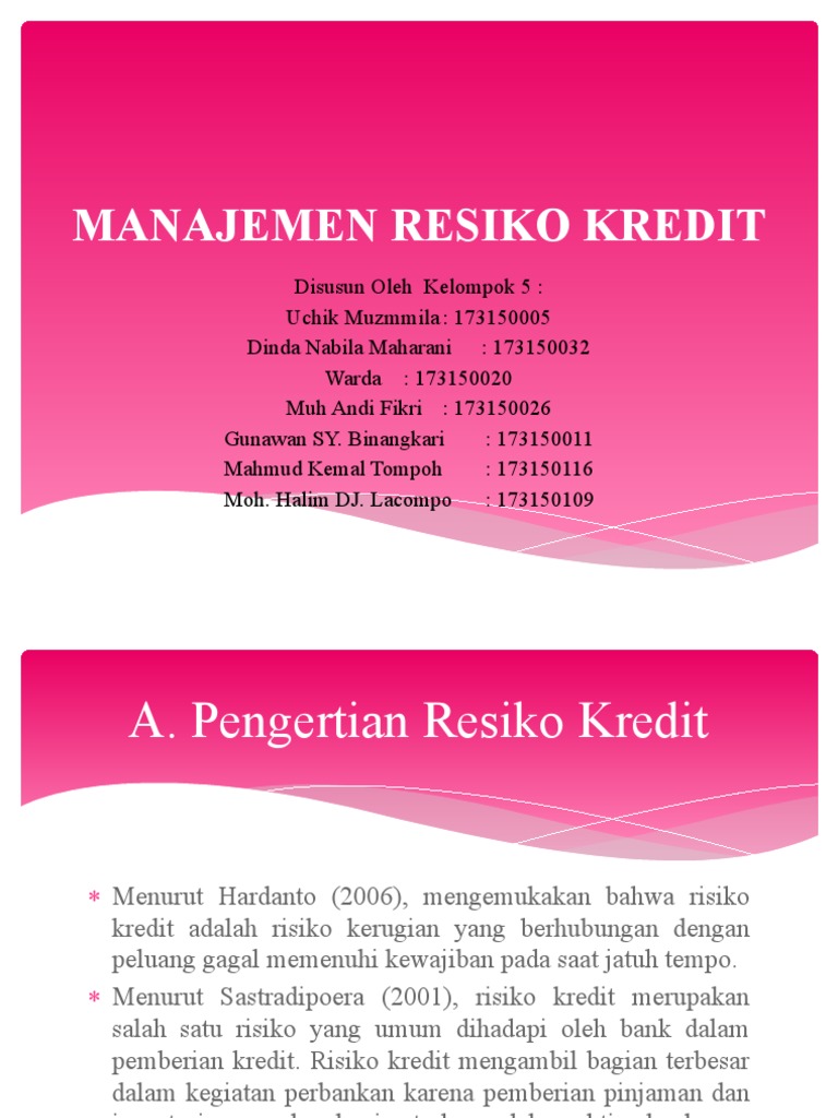 Manajemen Resiko Kredit | PDF