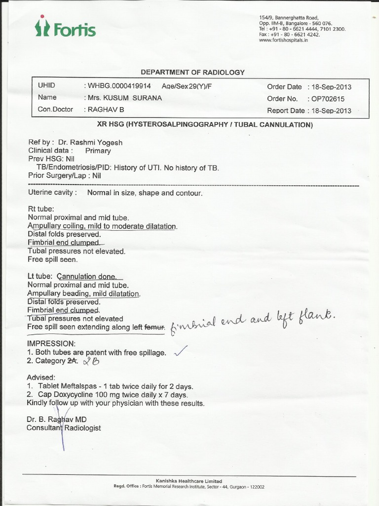 HSG Report PDF | PDF