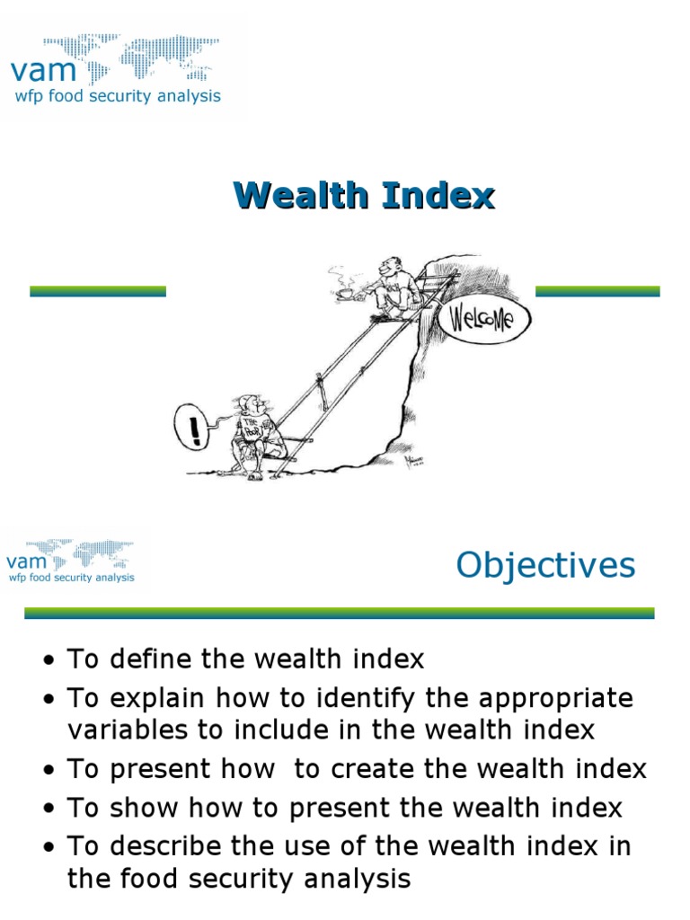 Wealth Index | PDF | Principal Component Analysis | Teaching Mathematics