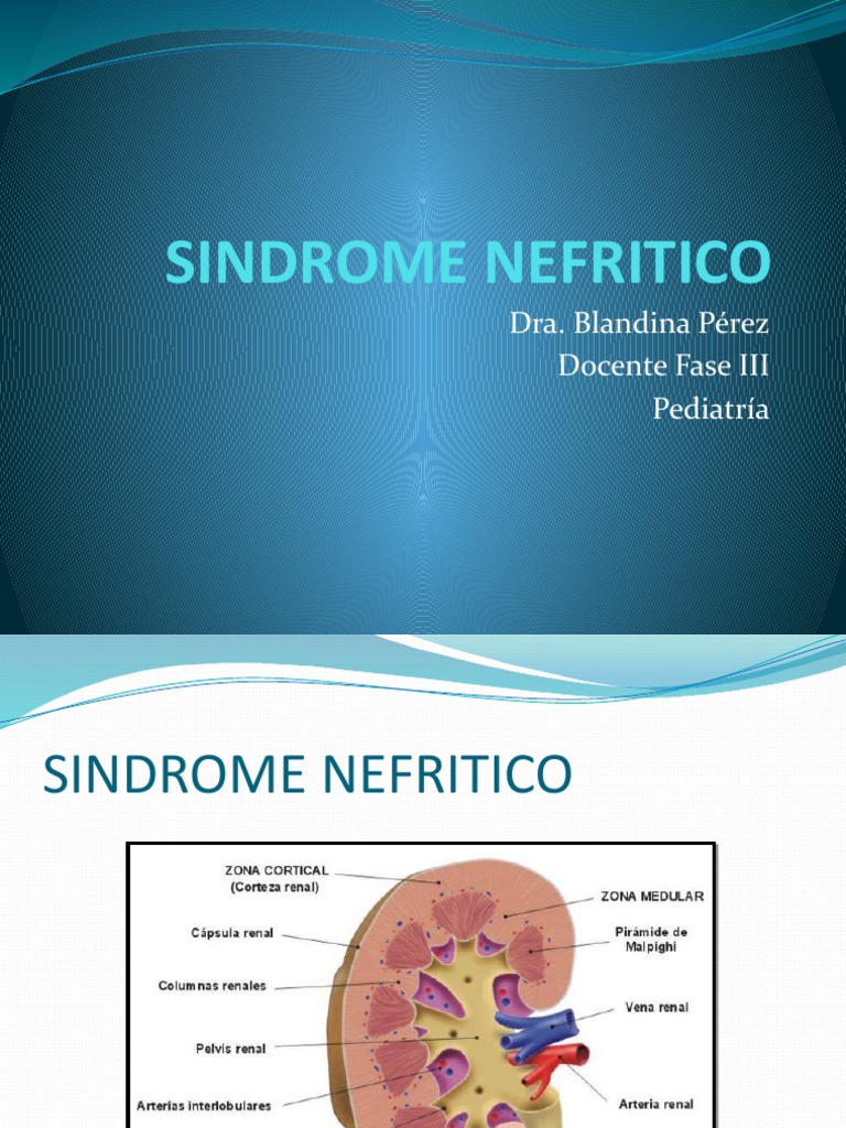 6 Sindrome Nefritico | PDF | Nefrología | Riñón
