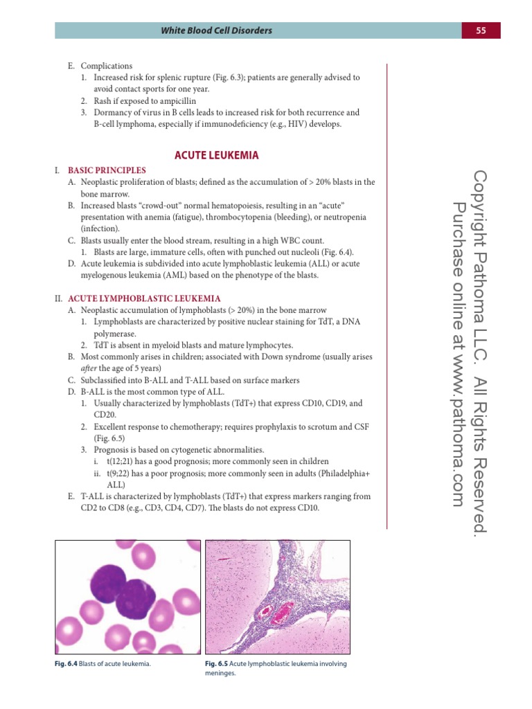 Acute Leukemia: Basic Principles | PDF | Leukemia | Medical Specialties