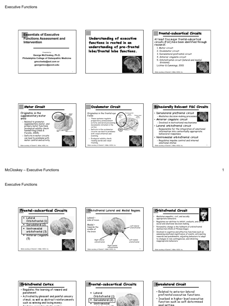 Executive Functioning and Intervention Presentation | PDF | Executive Functions | Prefrontal Cortex