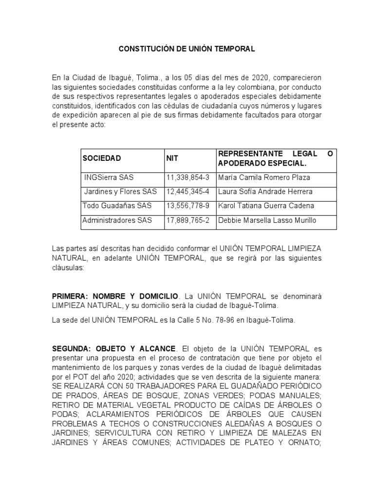 Constitución de Unión Temporal | PDF | Gobierno