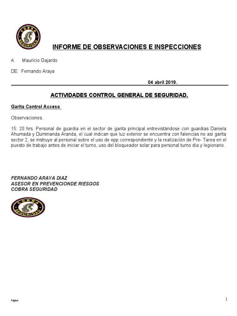 Informe Observaciones e Inspecciones | PDF
