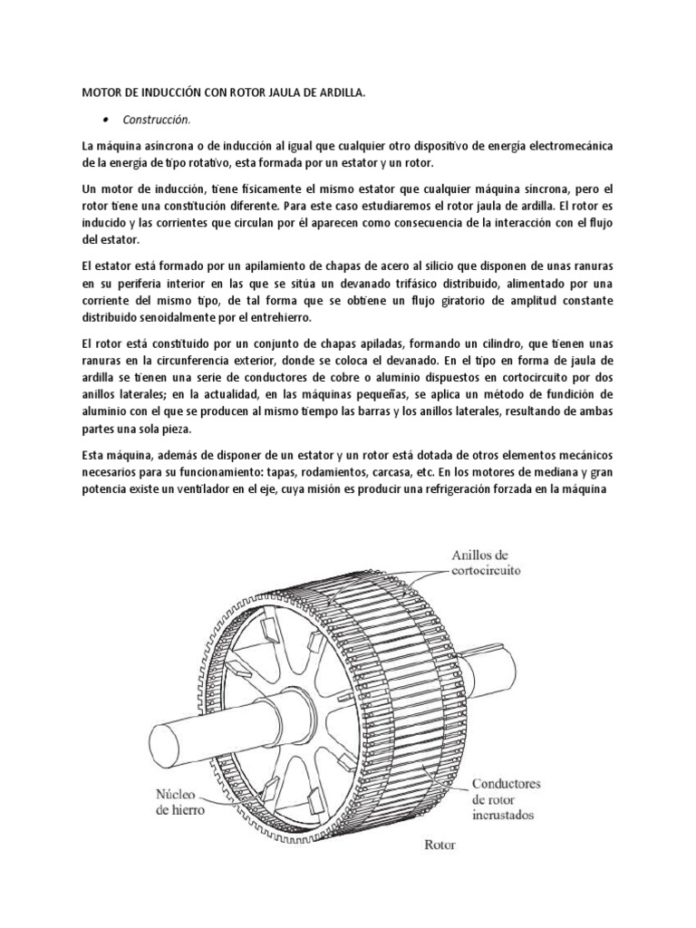 Motor de Inducción Con Rotor Jaula de Ardilla | PDF | Motor eléctrico ...