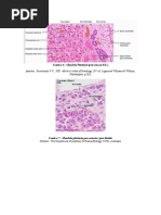 Concise Revision Course Csec HSB - Compress | PDF | Cell (Biology) | Chart
