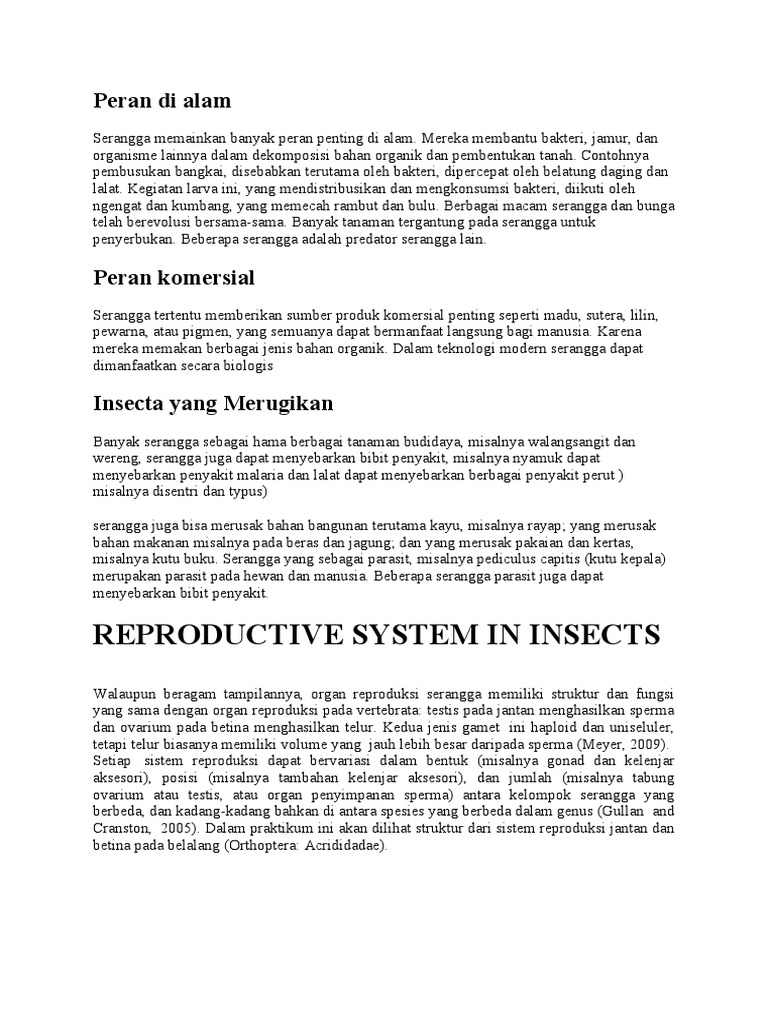 Ciri Umum Insecta | PDF