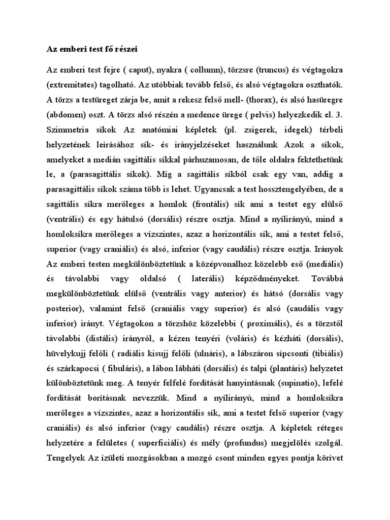 Az Emberi Test Fő Részei | PDF