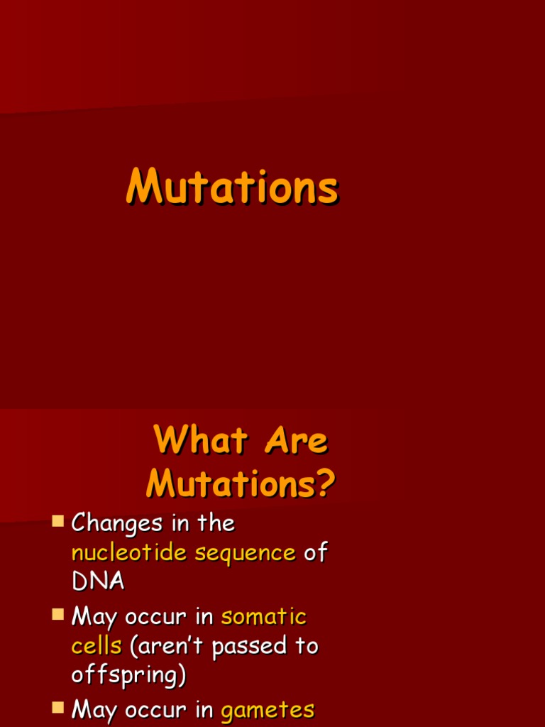 Mutations Notes | PDF | Point Mutation | Mutation