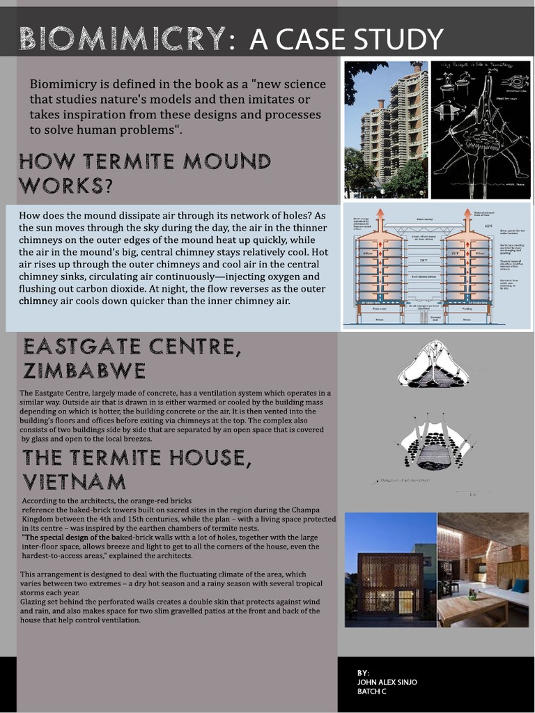 Biomimicry Case Study PDF | PDF