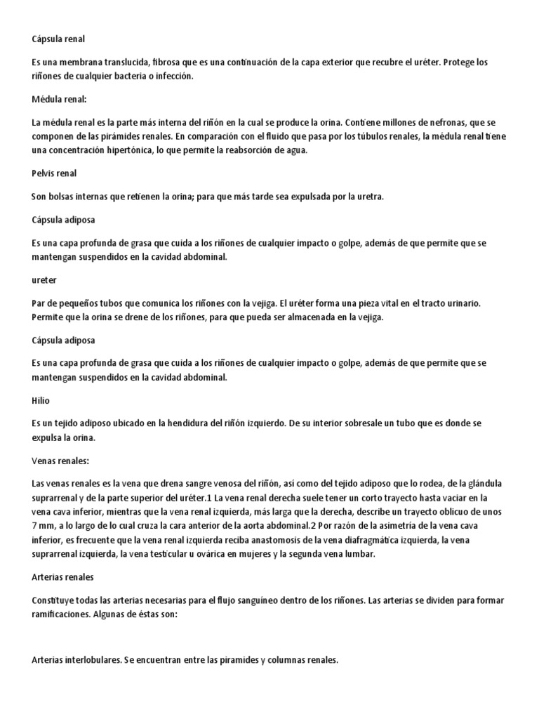 Cápsula Renal | PDF | Riñón | Órgano (anatomía)