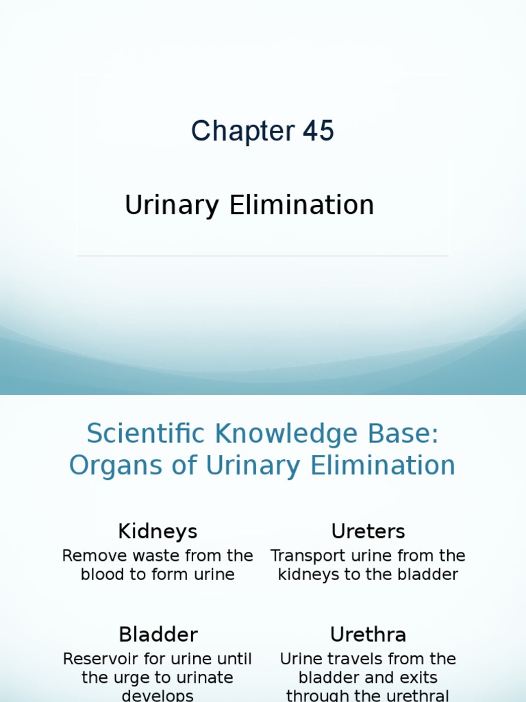 Chapter 45 Urinary Elimination | PDF | Urinary Incontinence | Urination