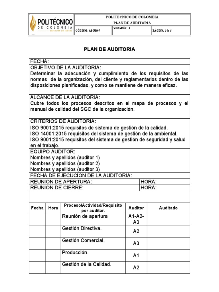 Modelo - Plan de Auditoria | PDF