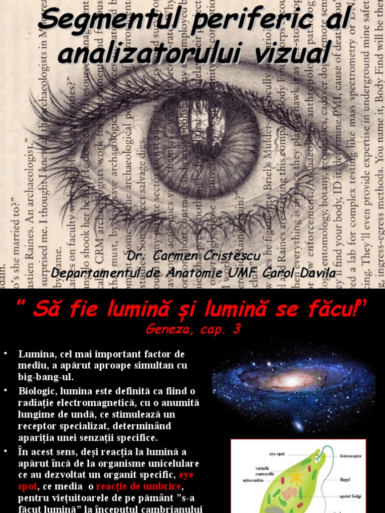 Segmentul Periferic Al Analizatorului Vizual | PDF