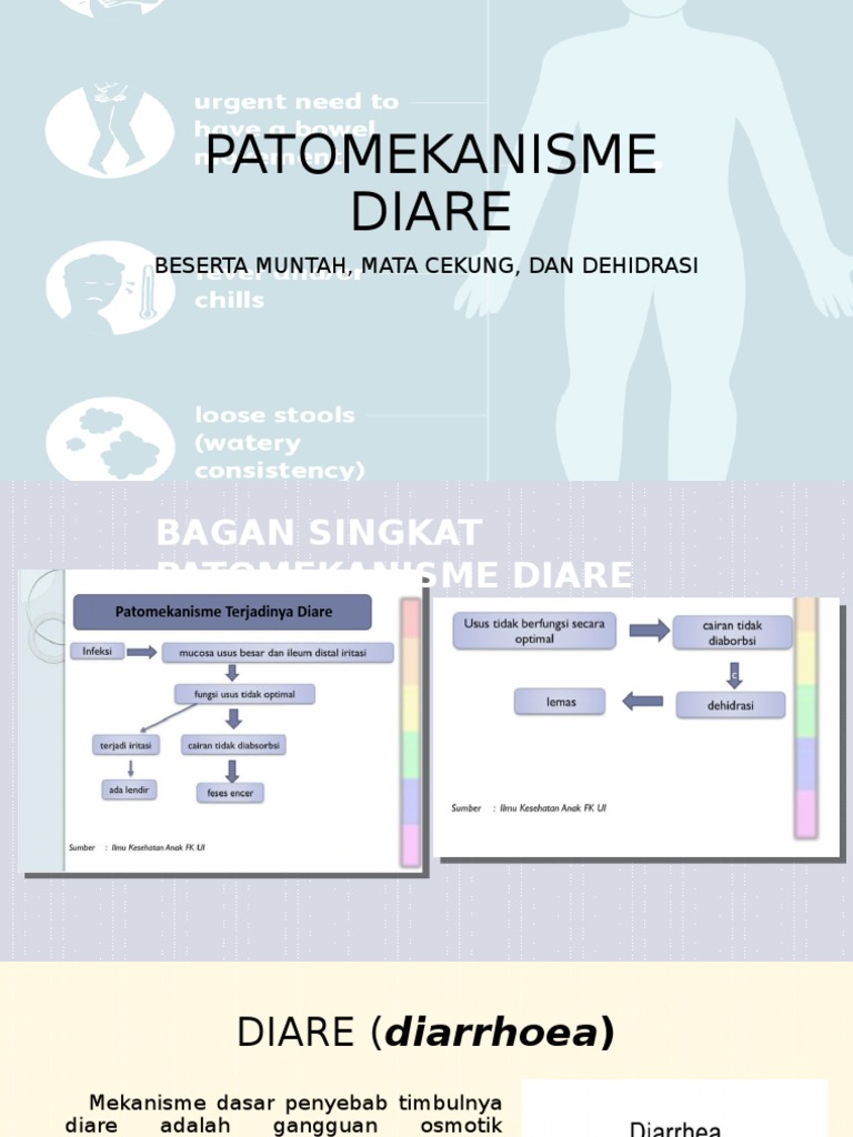 Patomekanisme Diare | PDF | Kesehatan Holistik | Sains & Matematika
