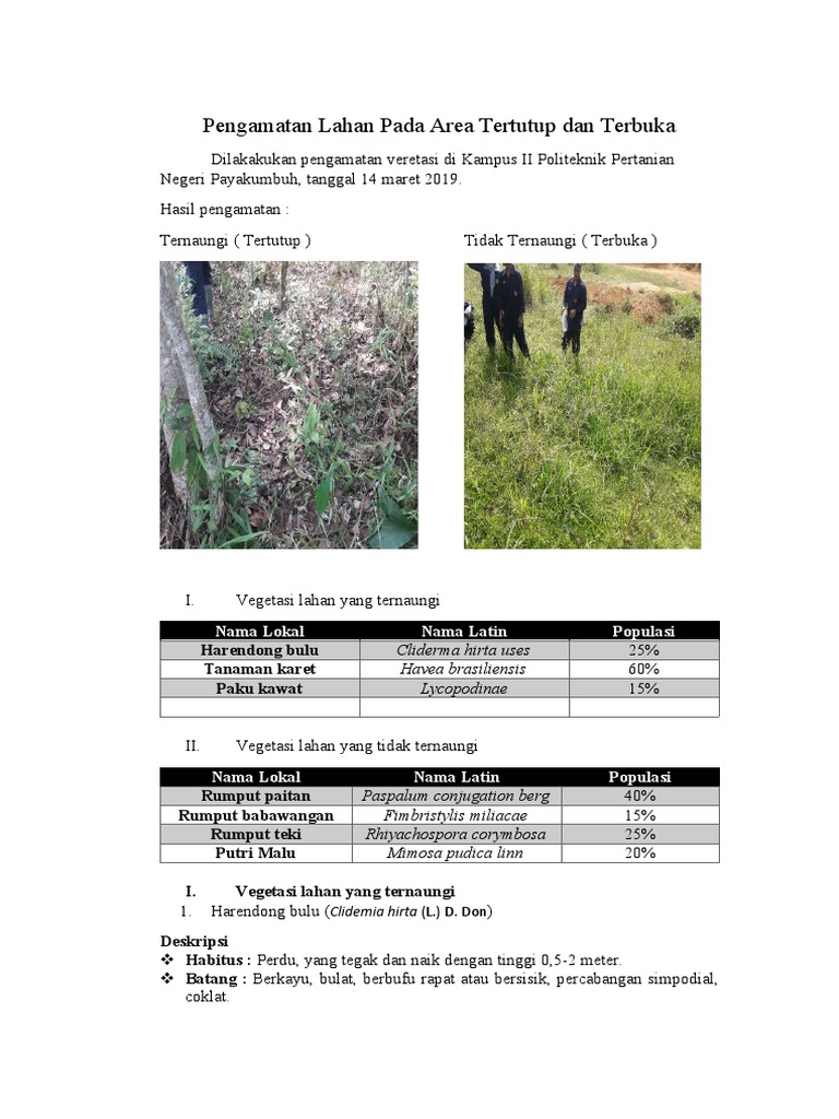 Pengamatan Lahan Pada Area Tertutup Dan Terbuka Ekologi Tanaman | PDF