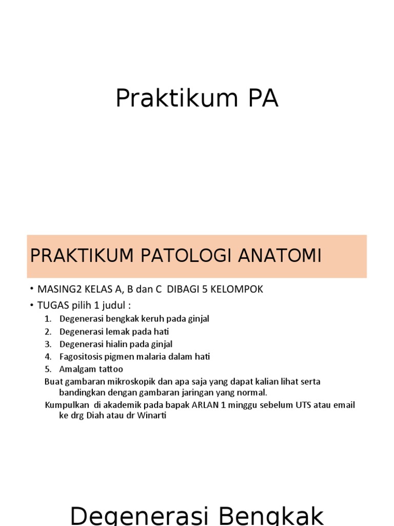 Prakt PA MODUL 1 | PDF | Sains & Matematika | Gaya Hidup