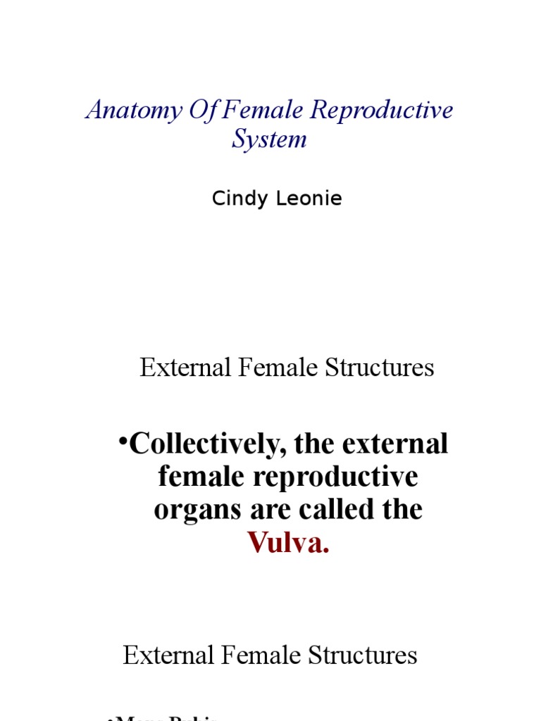 Anatomy and Functions of the Female Reproductive System | PDF | Vagina ...