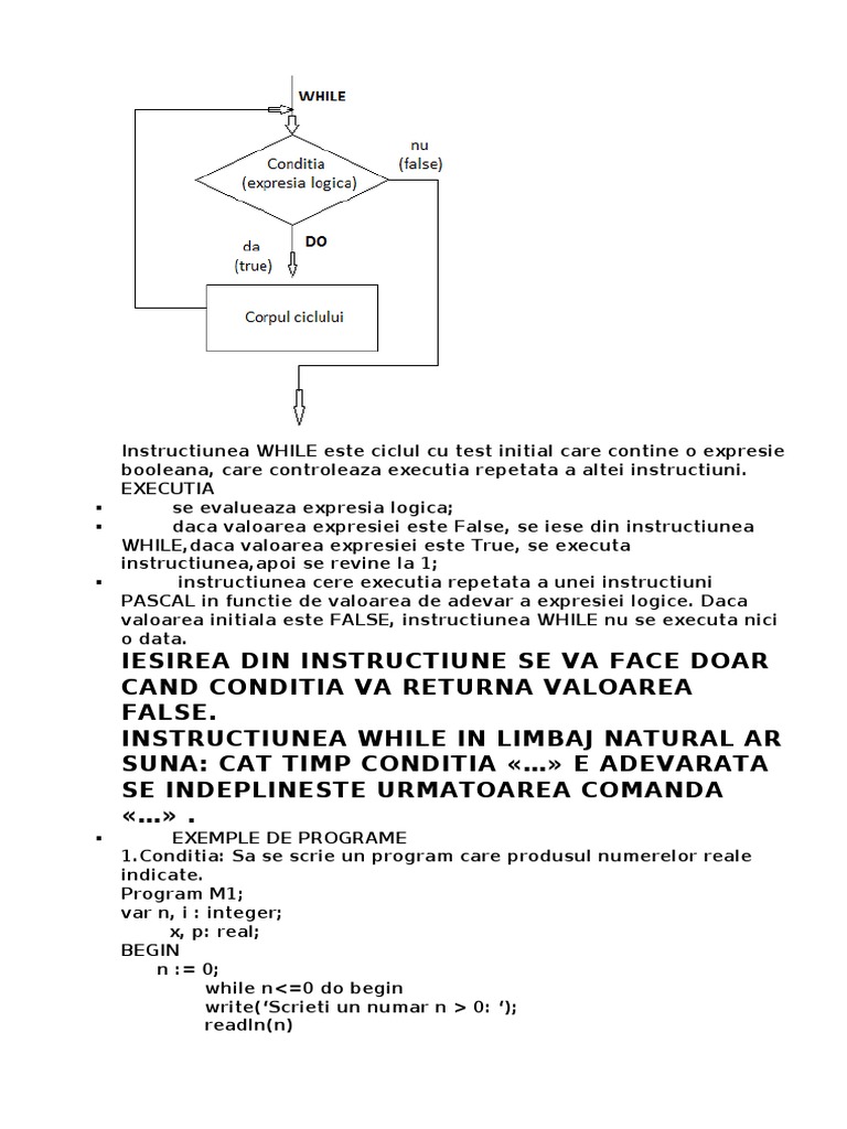 Instructiunea WHILE | PDF