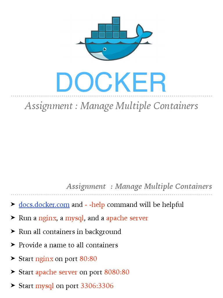 Manage Multiple Docker Containers | PDF