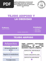 Histologia Tejido Adiposo | PDF | Tejido adiposo | Histología