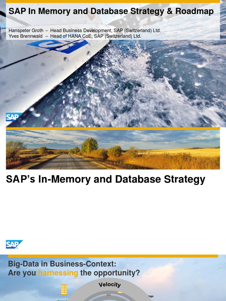 FINAL - SAP in Memory - Database Strategy | PDF | Sap Se | Information Technology